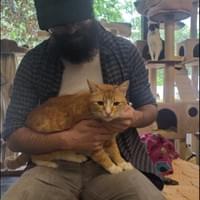 St. Francis Animal Sanctuary