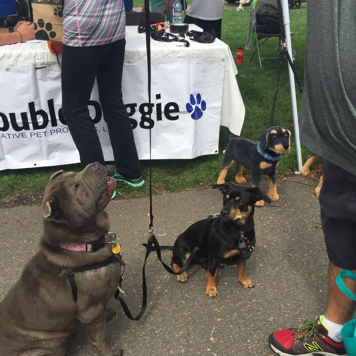 Double Doggie