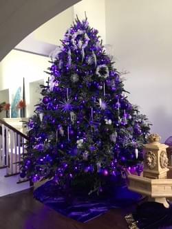 Santa's Christmas Trees