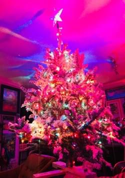 Santa's Christmas Trees