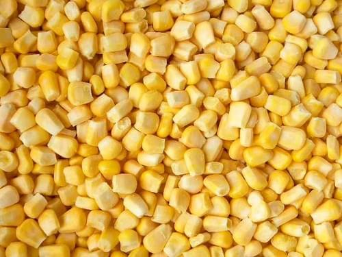 IQF Sweet Kernel Corn