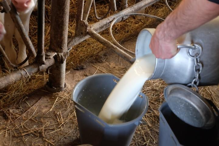 Lait biologique produit en Ile-de-France - Brie et coulommiers ...