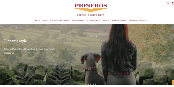 Maxim Consulting Services