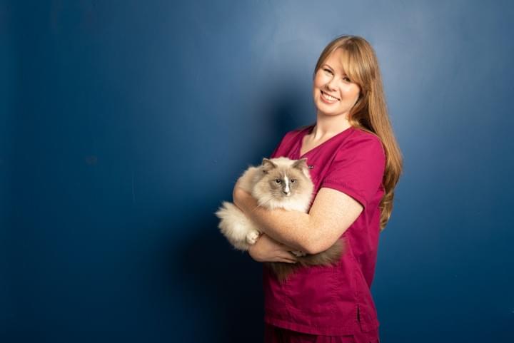 Just Cats - Dublin's cat only veterinary practice