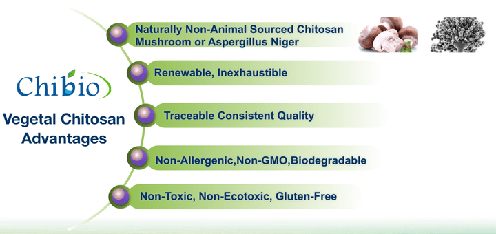 Vegetal Chitosan - Chibio Biotech-Natural Ingredients for Healthier Life