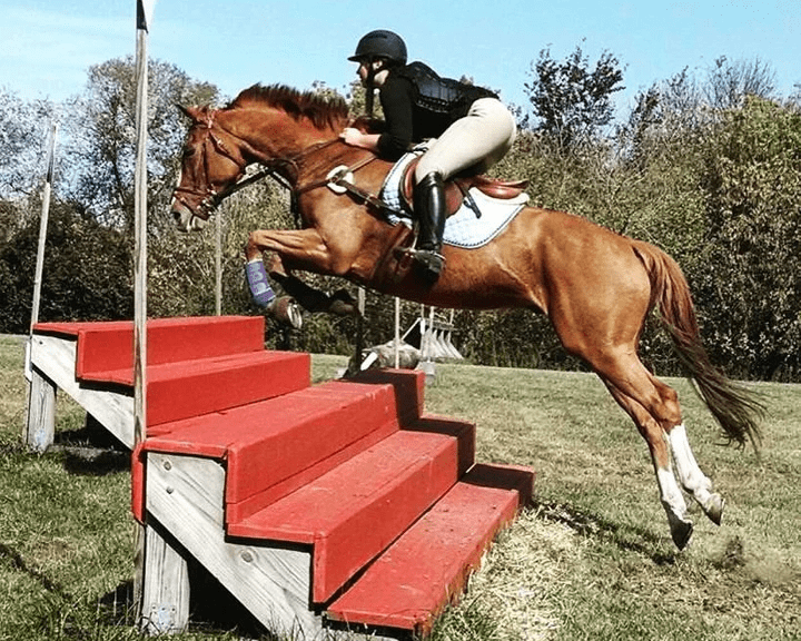 Rosewood Equestrian Center