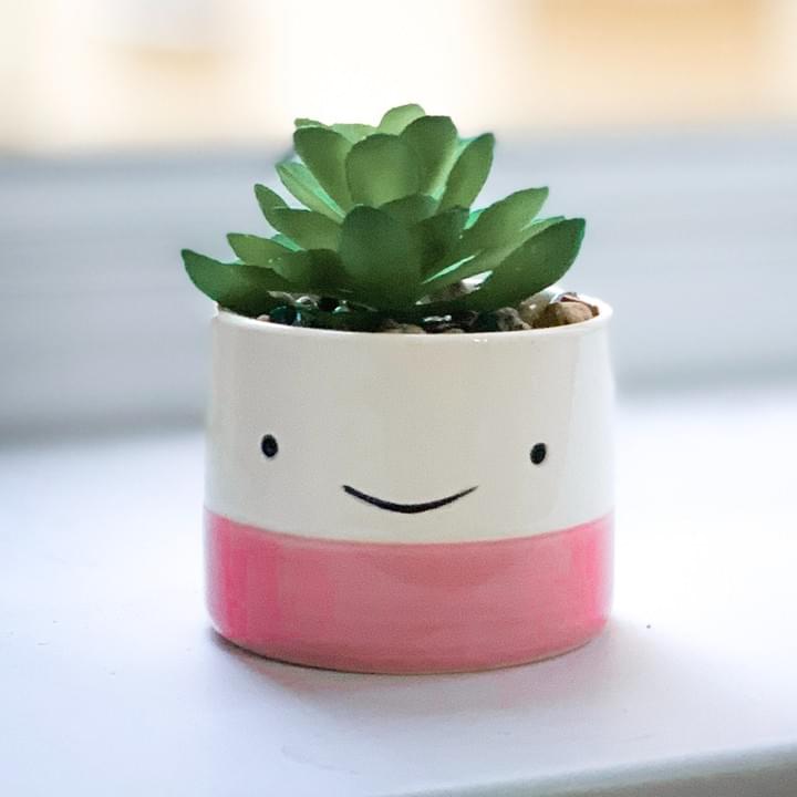 Rotorua Pottery Classes