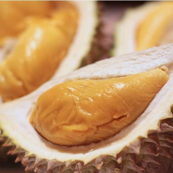 Durian Supplier & Durian Wholesale Malaysia & Singapore