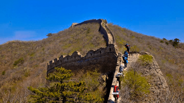 Insight Adventures - Lifelong learning without boundaries.