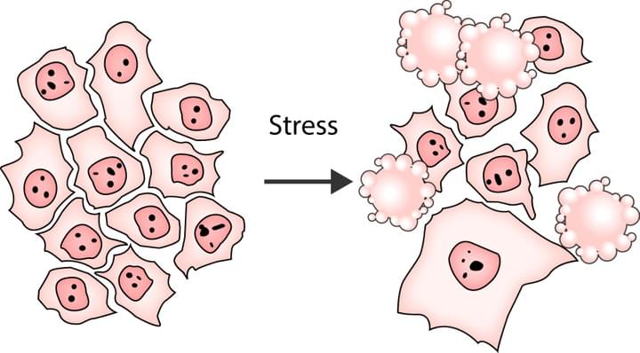 Lab for Cell Dynamics on Strikingly