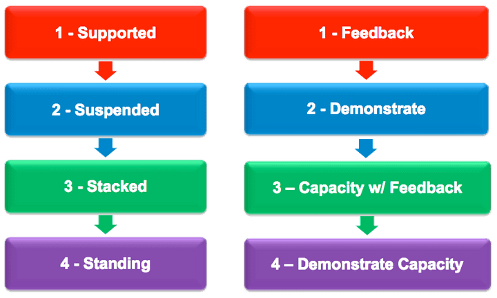 Project WellBeing - The New Standard Of Wellness