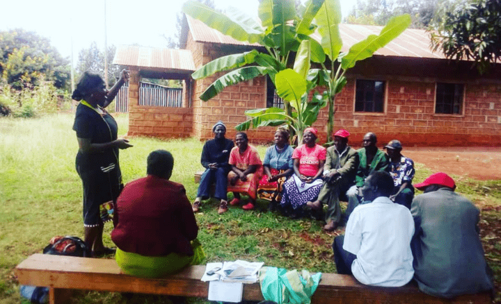 TIST Program | Growing trees, growing leaders | 100+ thousand farmers planting 20+ million ...