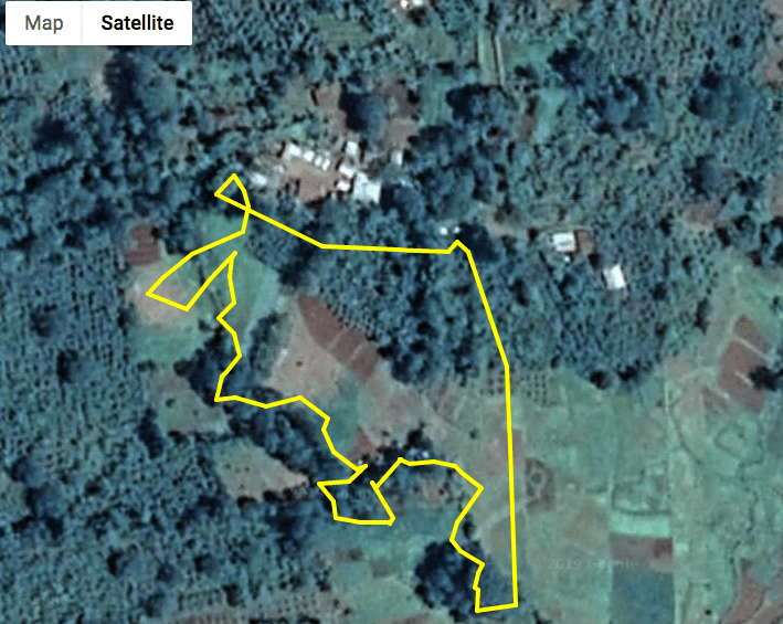 TIST Program | Growing trees, growing leaders | 100+ thousand farmers planting 20+ million ...