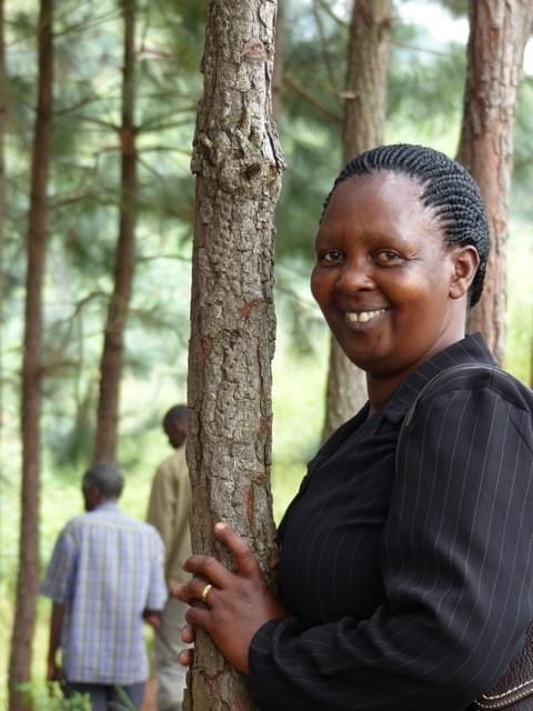 TIST Program | Growing trees, growing leaders | 100+ thousand farmers planting 20+ million ...