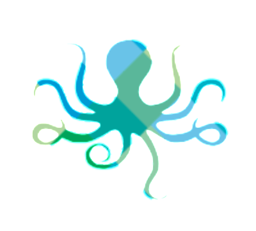 Octopus Admin