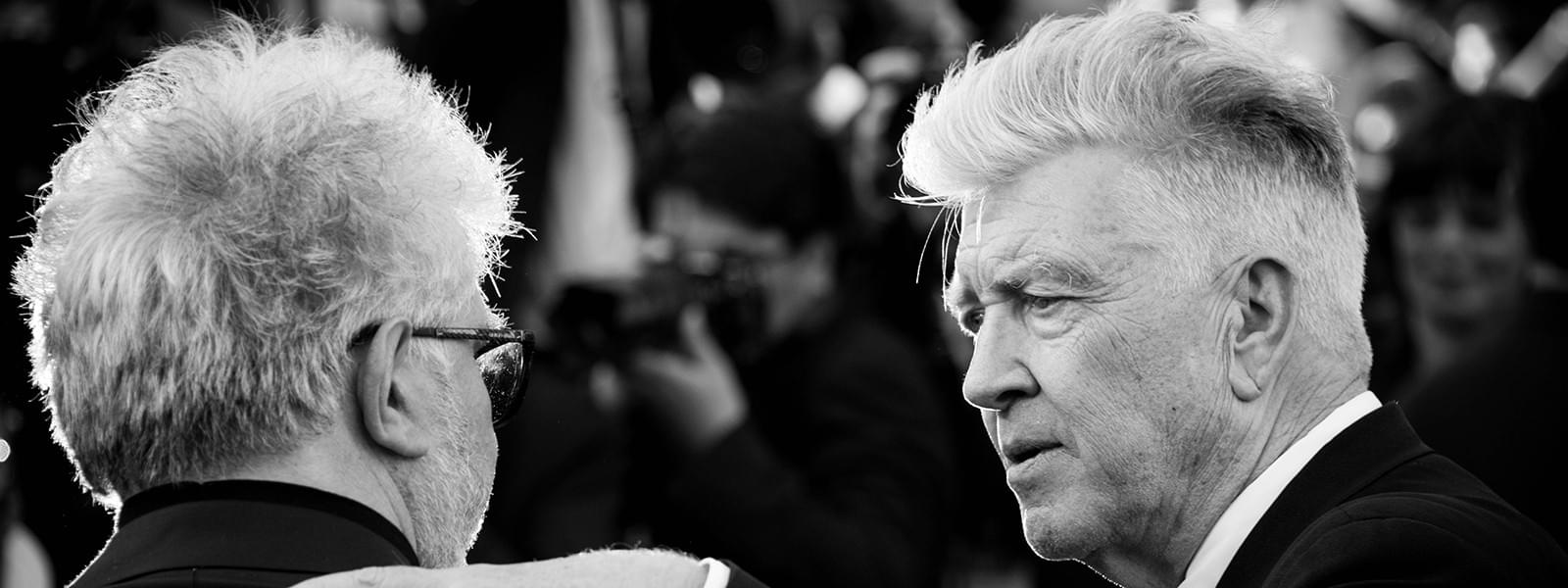 Collection Christophel