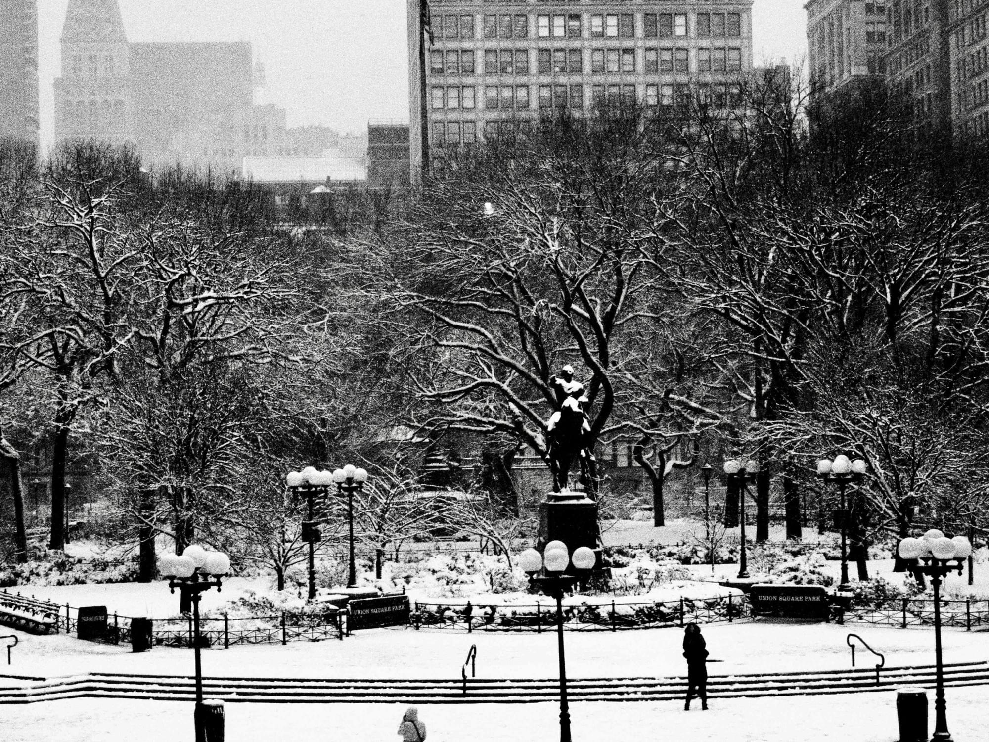 Jacinta Jones Photography