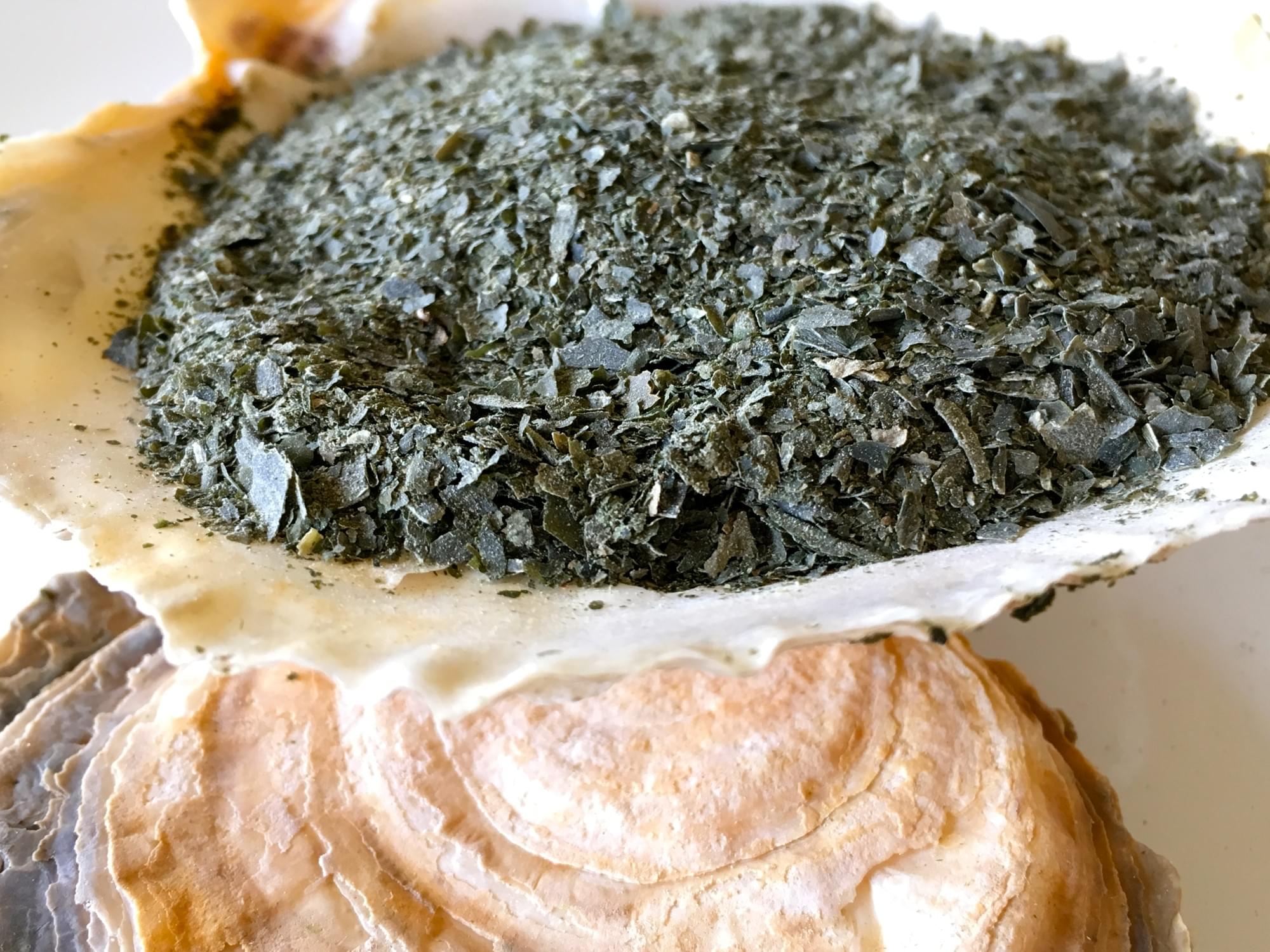 Store - Springtide Seaweed