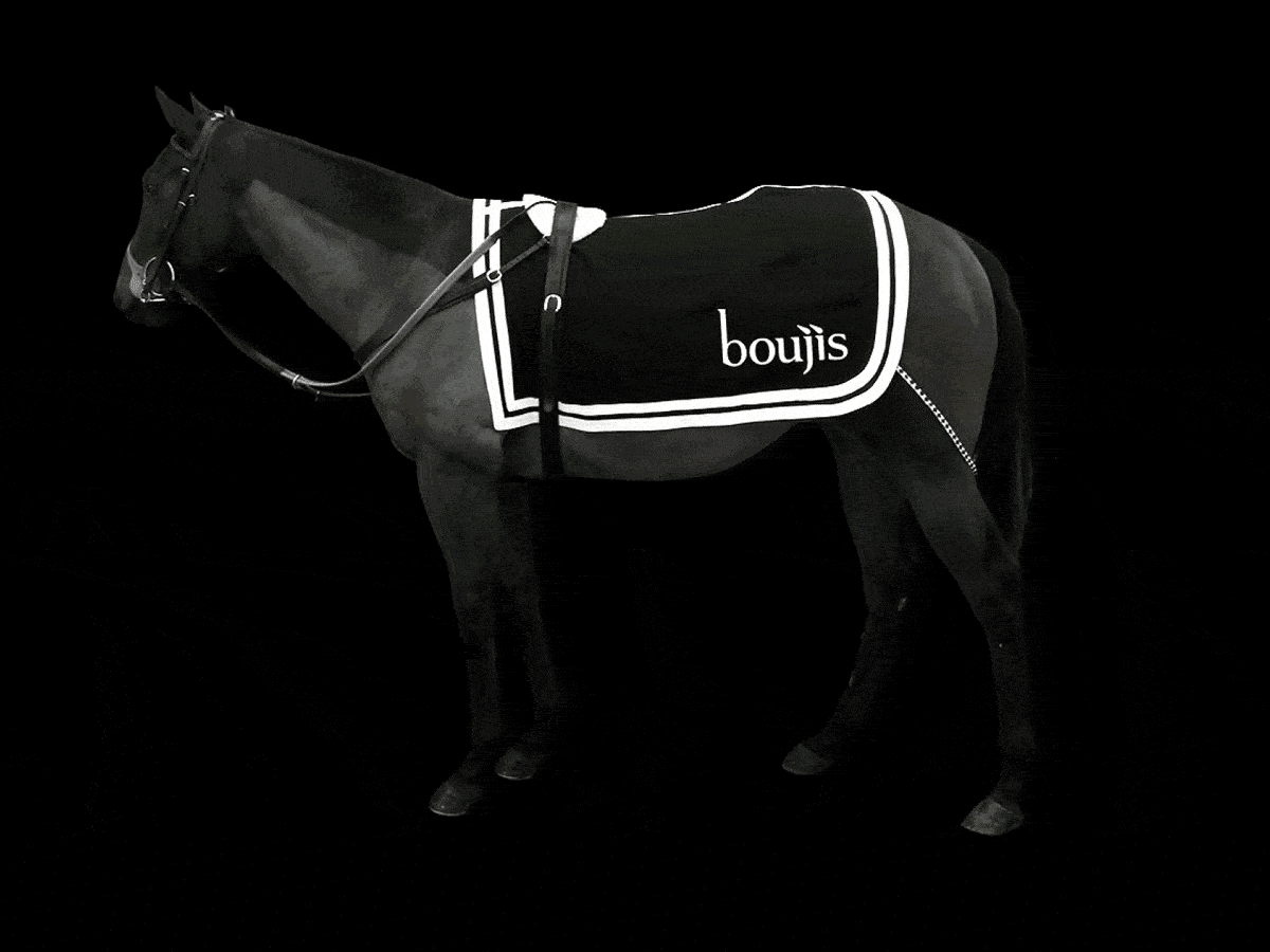 ADAM NICE DESIGN - Branding and Communications, Packaging Design ...