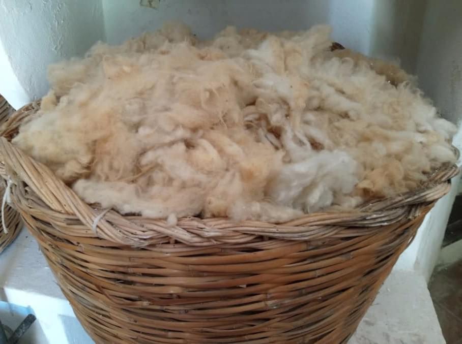 WHAT IS WOOL 
