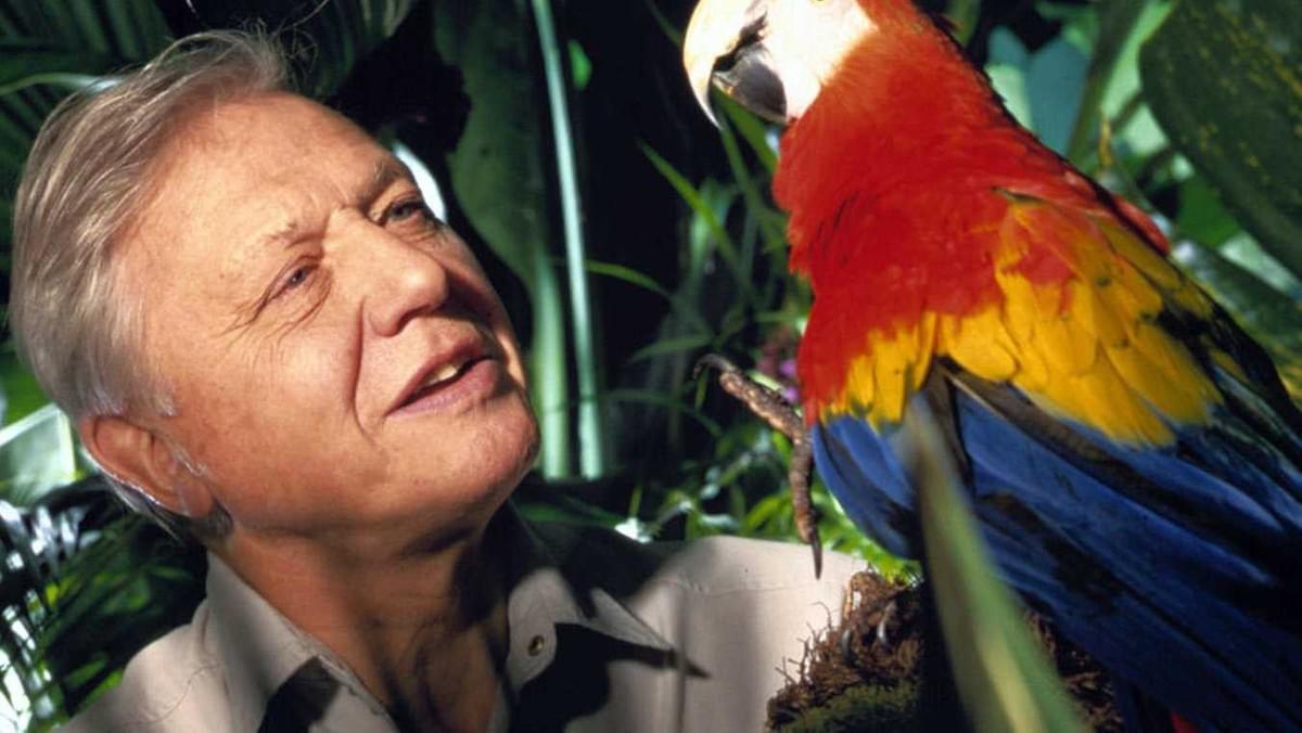 How old is David Attenborough and other interesting facts - Climate Change