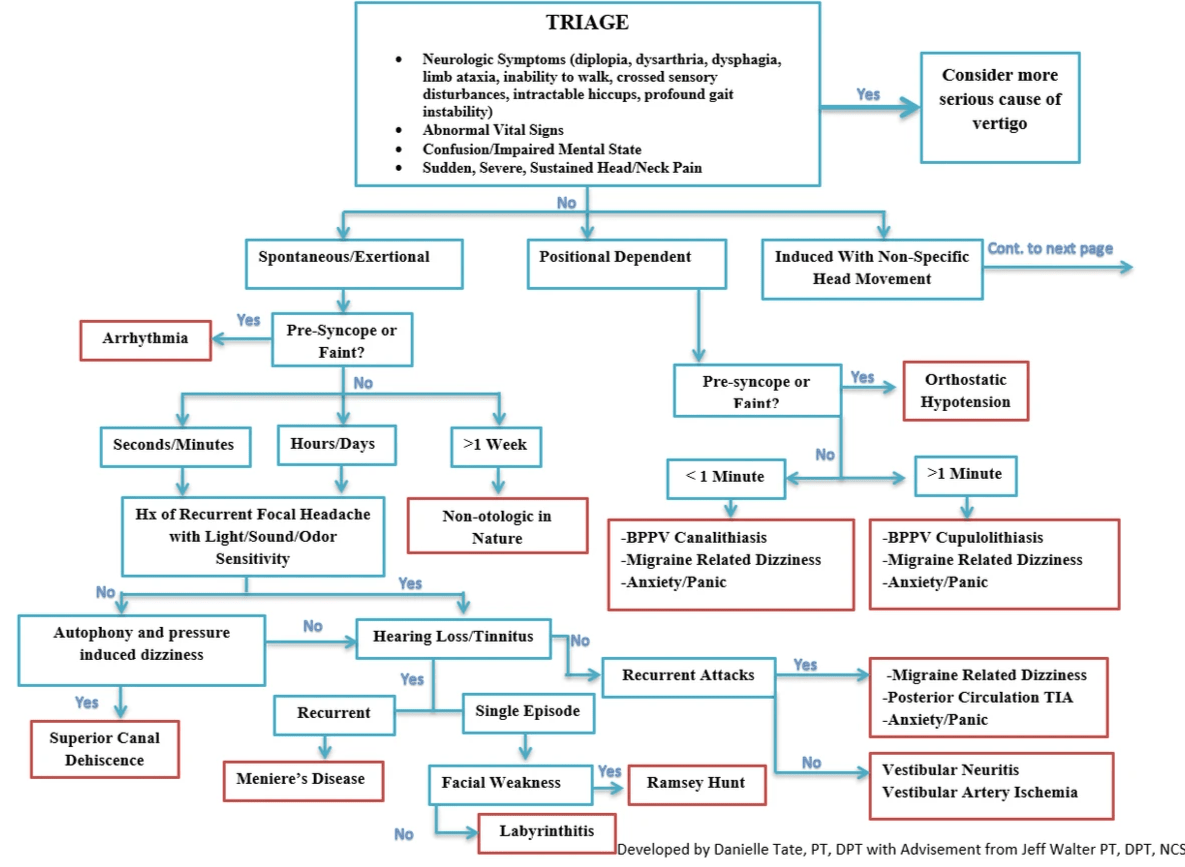 History Algorithms - Vestibular Today