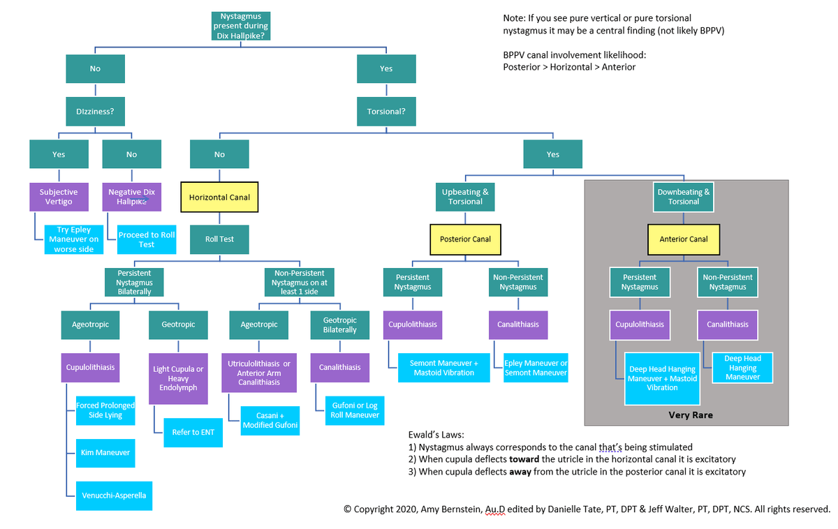 History Algorithms - Vestibular Today