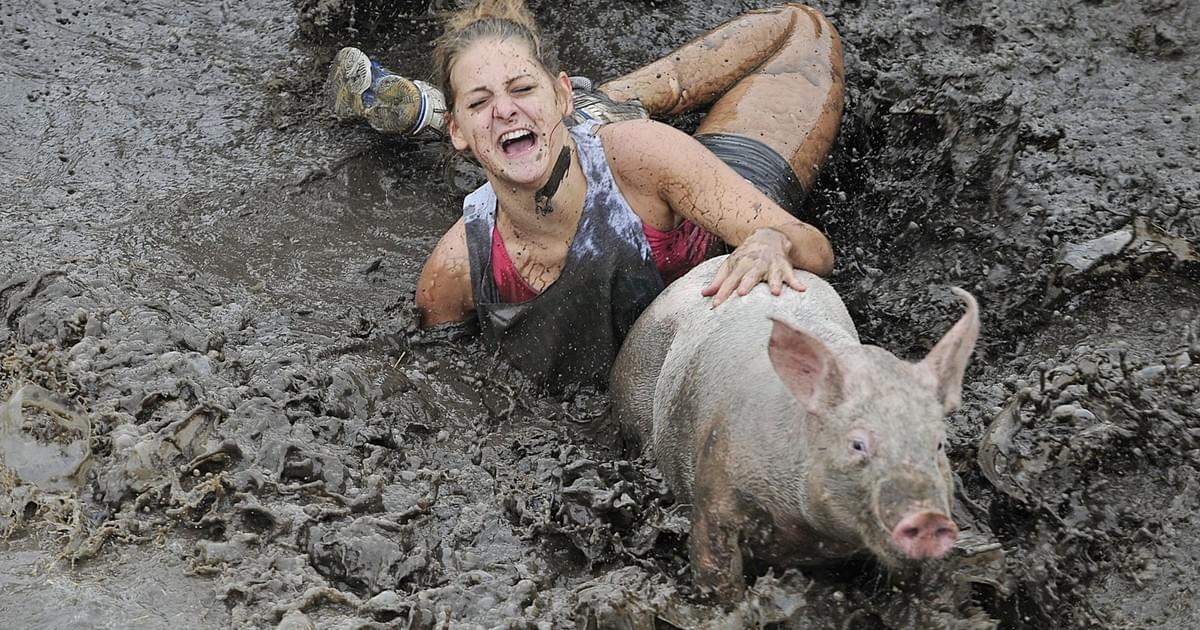 Pig Wrestling Book Review Book Review Strategicplanning Problemsolving pig-wrestling-book-review-book-review-strategicplanning-problemsolving