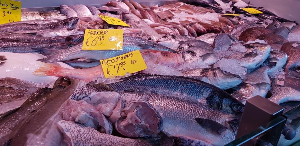 Vis als meest duurzame dierlijke eiwitbron - Nieuws