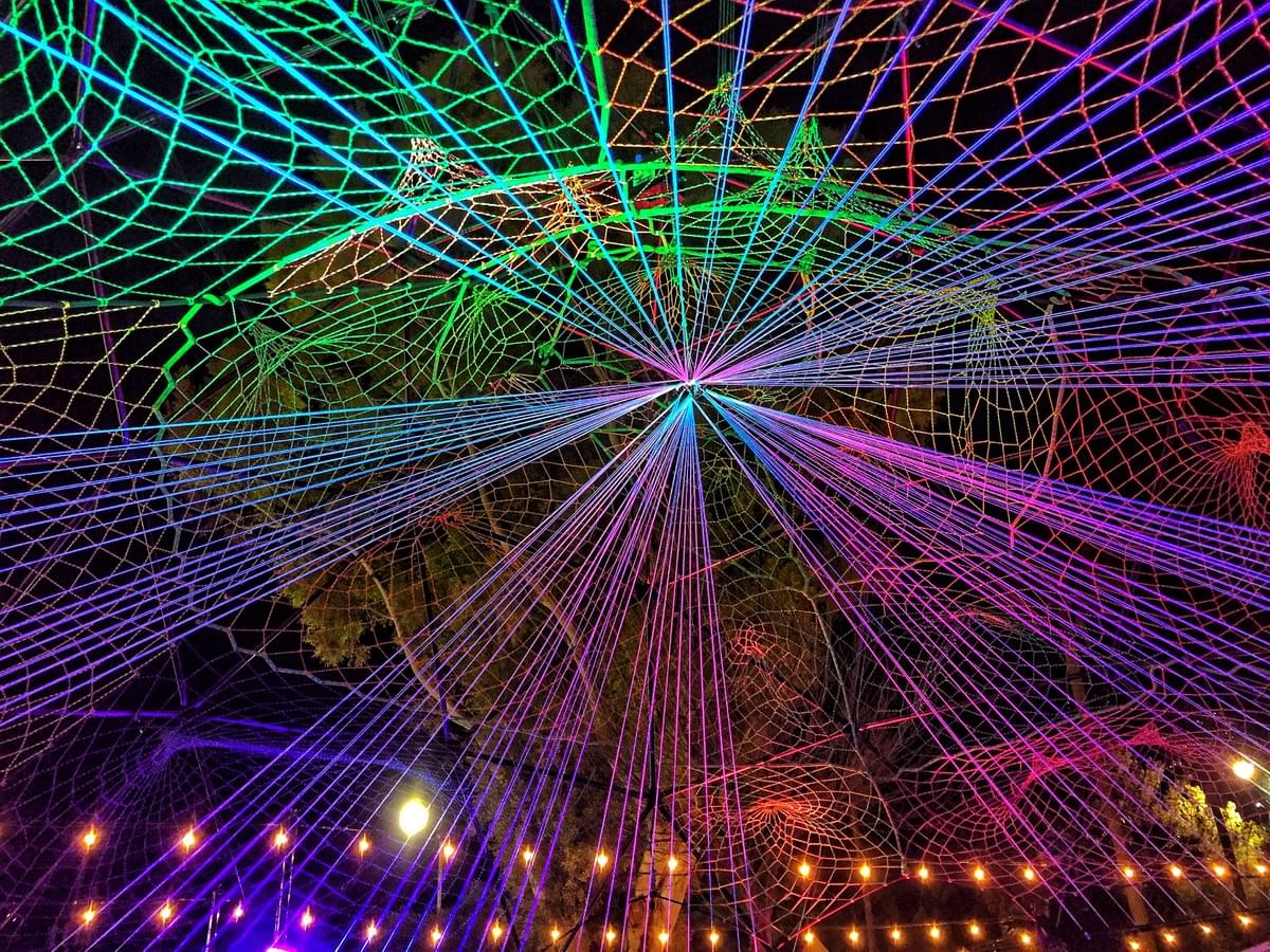 TreeNet Willy's Site