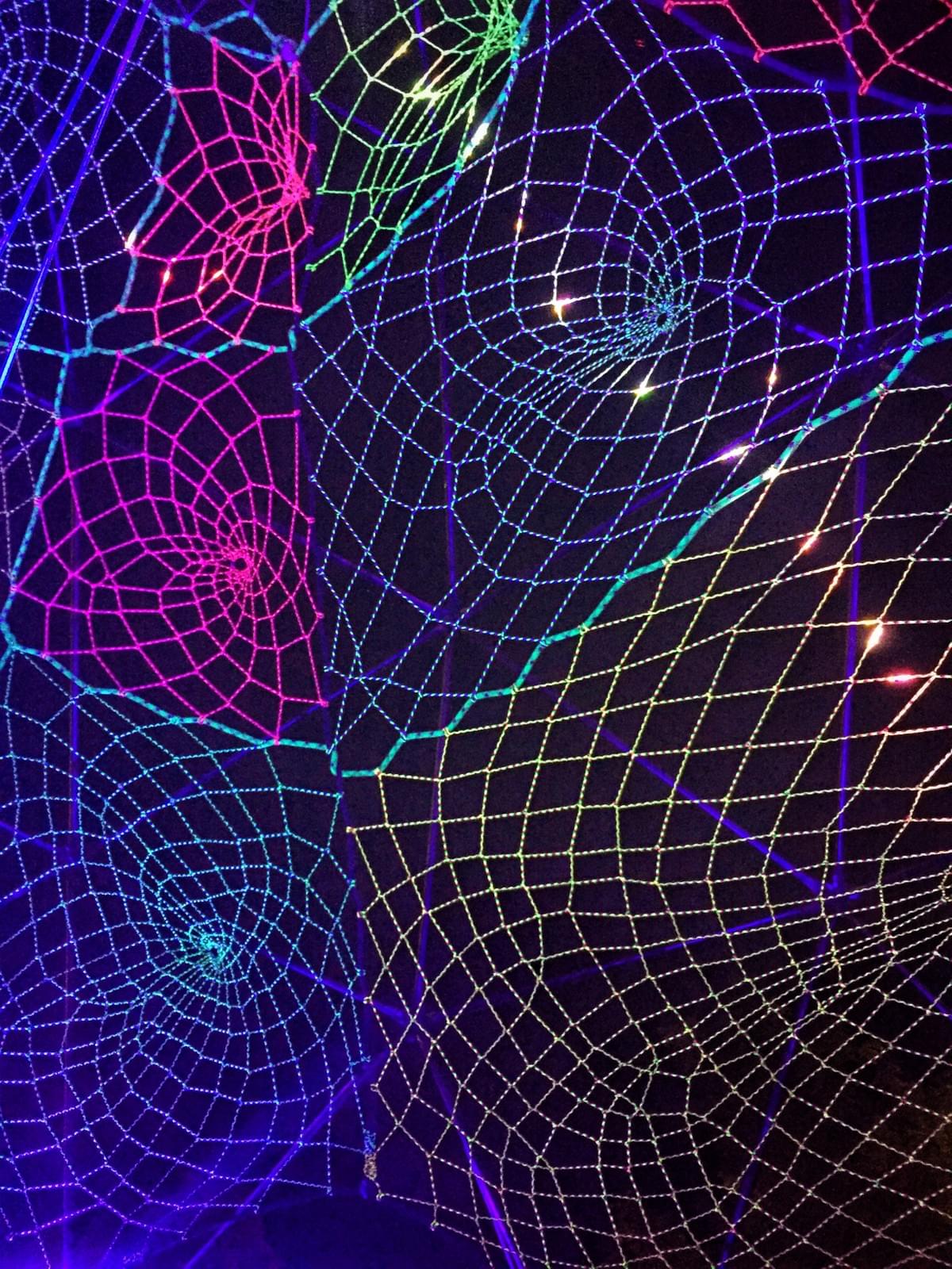 TreeNet Willy's Site