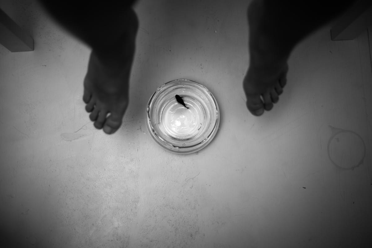 Alan Wong - Director