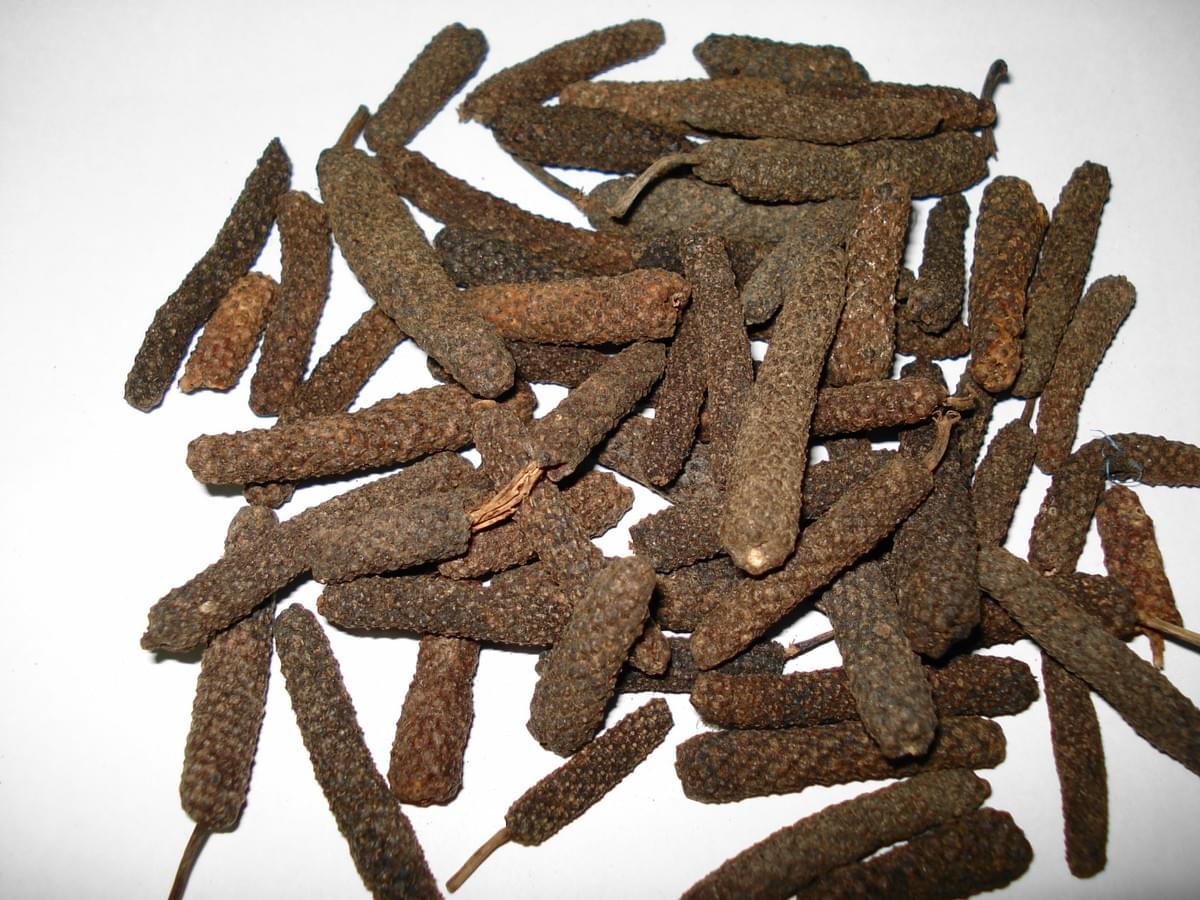 Long Pepper - Spice