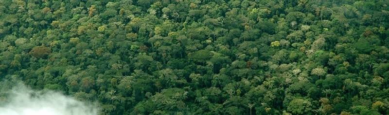 About Us | Denya Developers