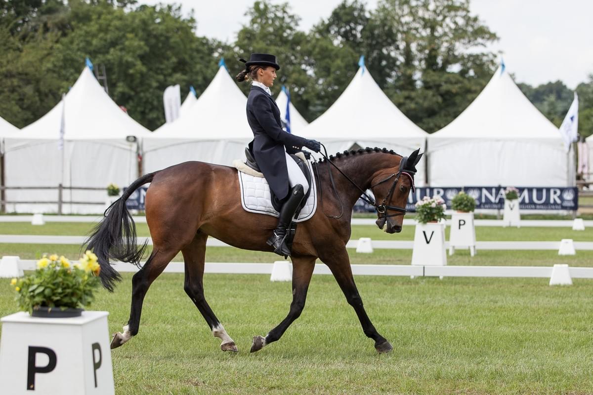 Le concours complet - Concours Complet Arville