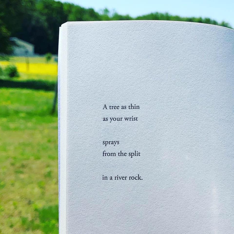 Joseph Massey: Poet.
