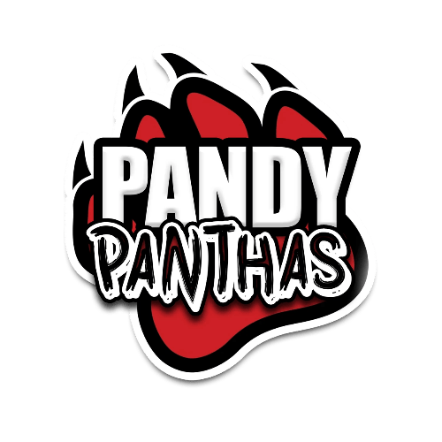 Tonypandy Netball Club - Rhondda Netball