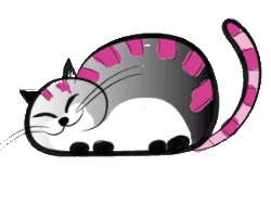 Just Cats - Dublin's cat only veterinary practice