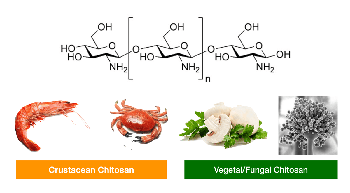 Vegetal Chitosan - Chibio Biotech-Manufacturer of Vegetal Chitosan, Fungal Chitosan, Natural ...