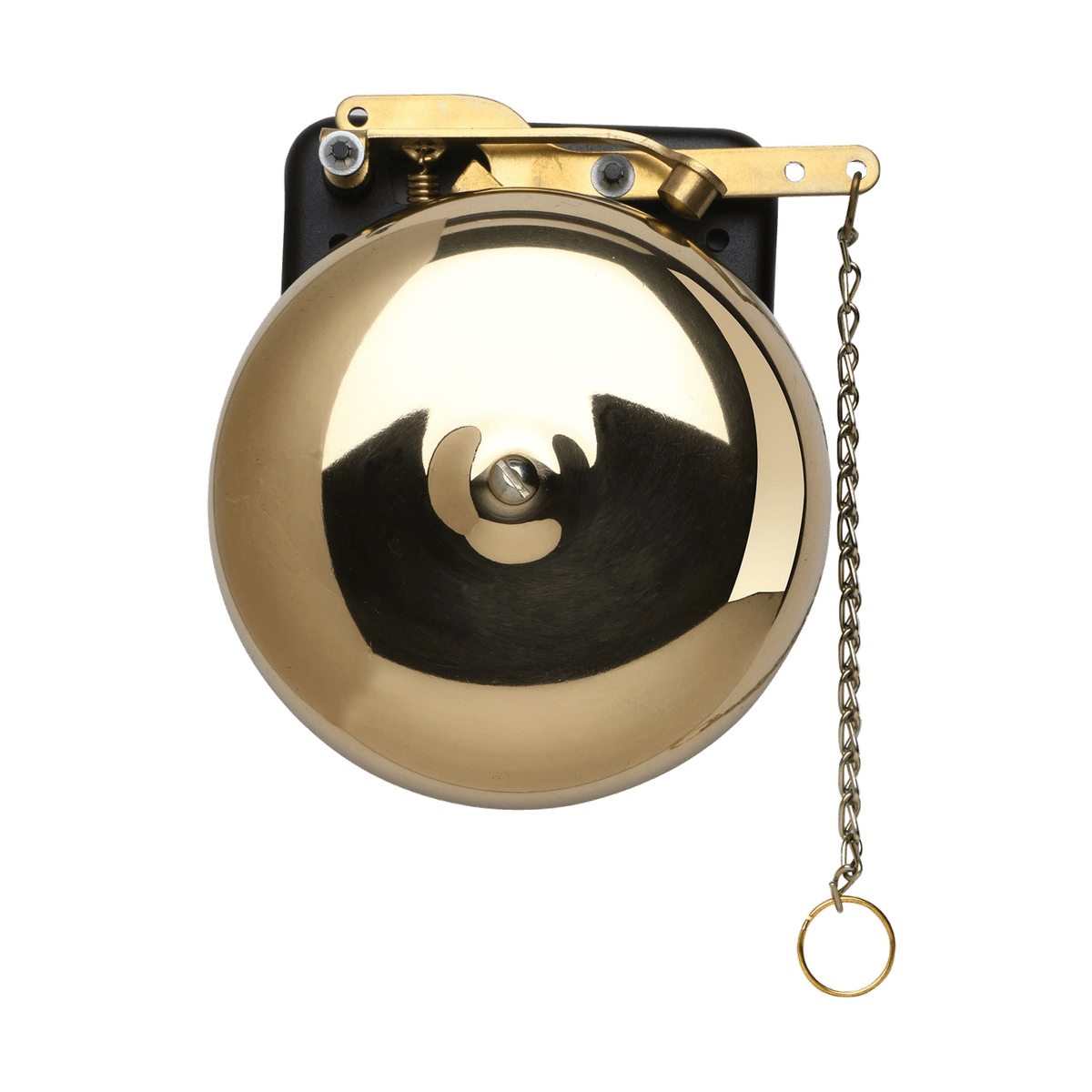 David Clark, GA State House - District 98