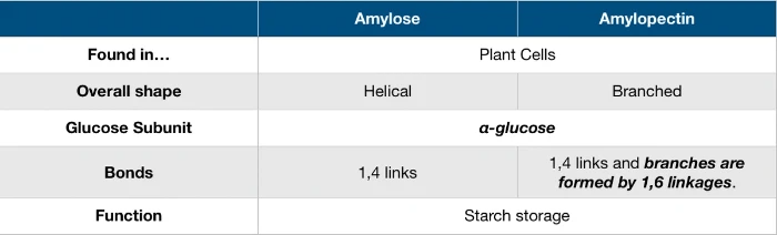 GCE CIE BIOL - Molecular Structure of Polysaccharides - biology GCE CIE ...