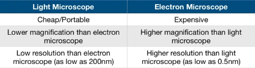 GCE CIE Biology - Microscopy - biology GCE CIE resolution magnification ...