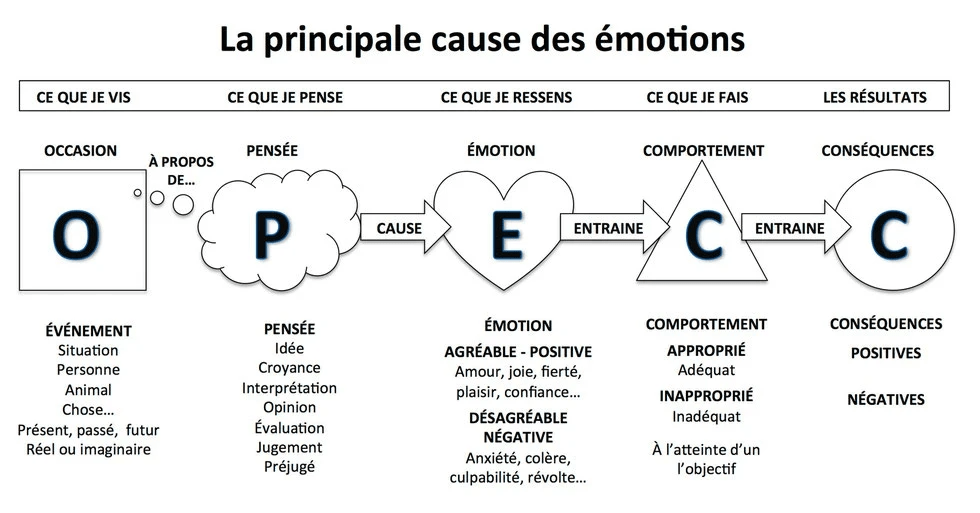 Comprendre Ses Emotions: Les Besoins Derrière Émotions – HEQXD