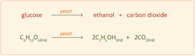 CHEM - Reactions Involving Ethanol - chemistry ethanol hydration of ...
