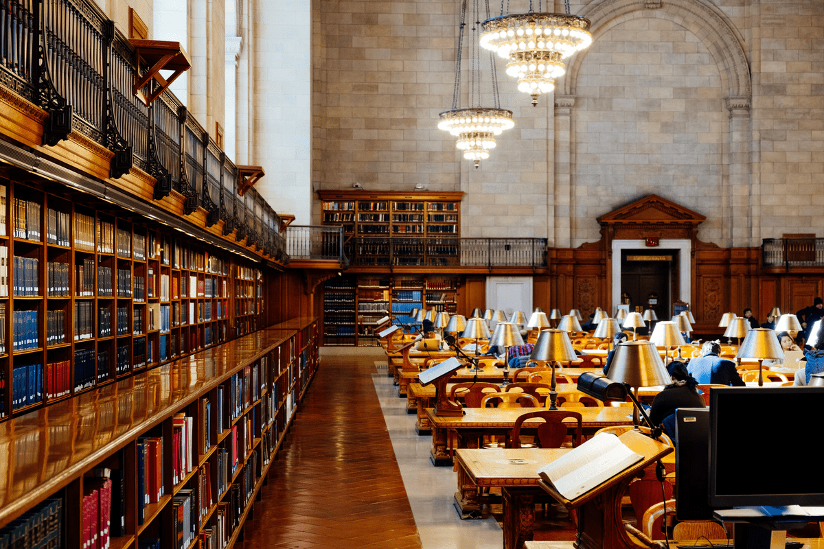 The Purpose Of Higher Education The Purpose Of Higher Education