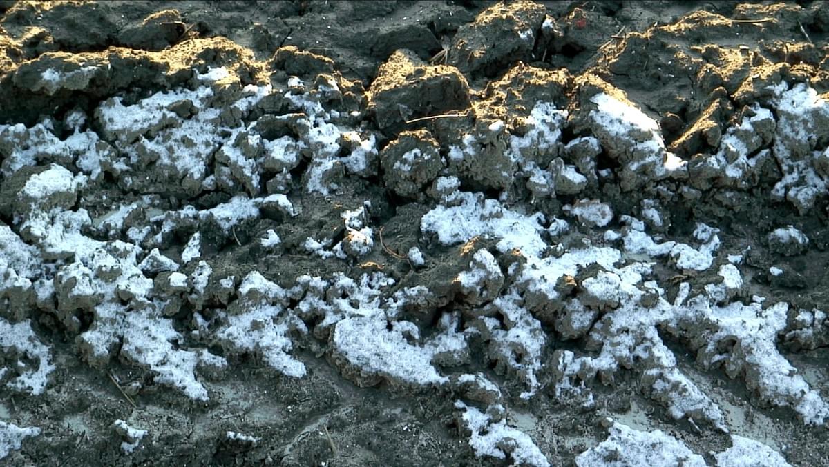 Jos de Putter- Visual arts