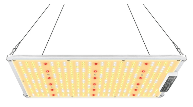 Maxsisun LED Grow Lights – Overview & Comparison – Site Title