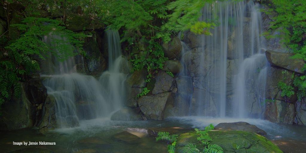 Free Flow Form #1 to 5