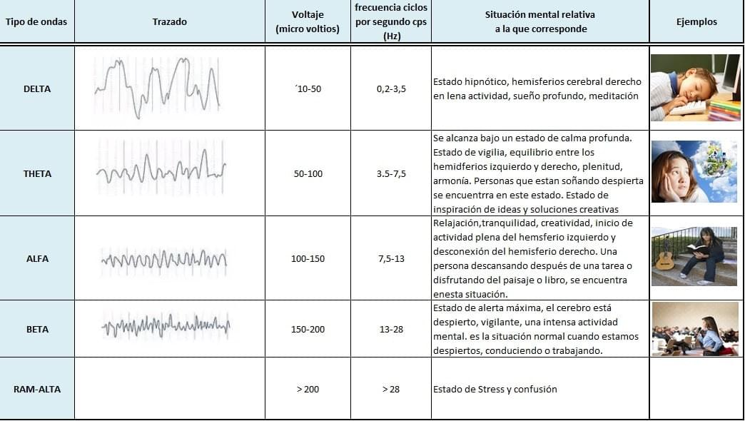 Los secretos que revela el cerebro a través de las ondas cerebrales ...