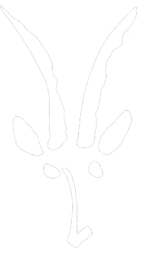 ibex outdoor clothing